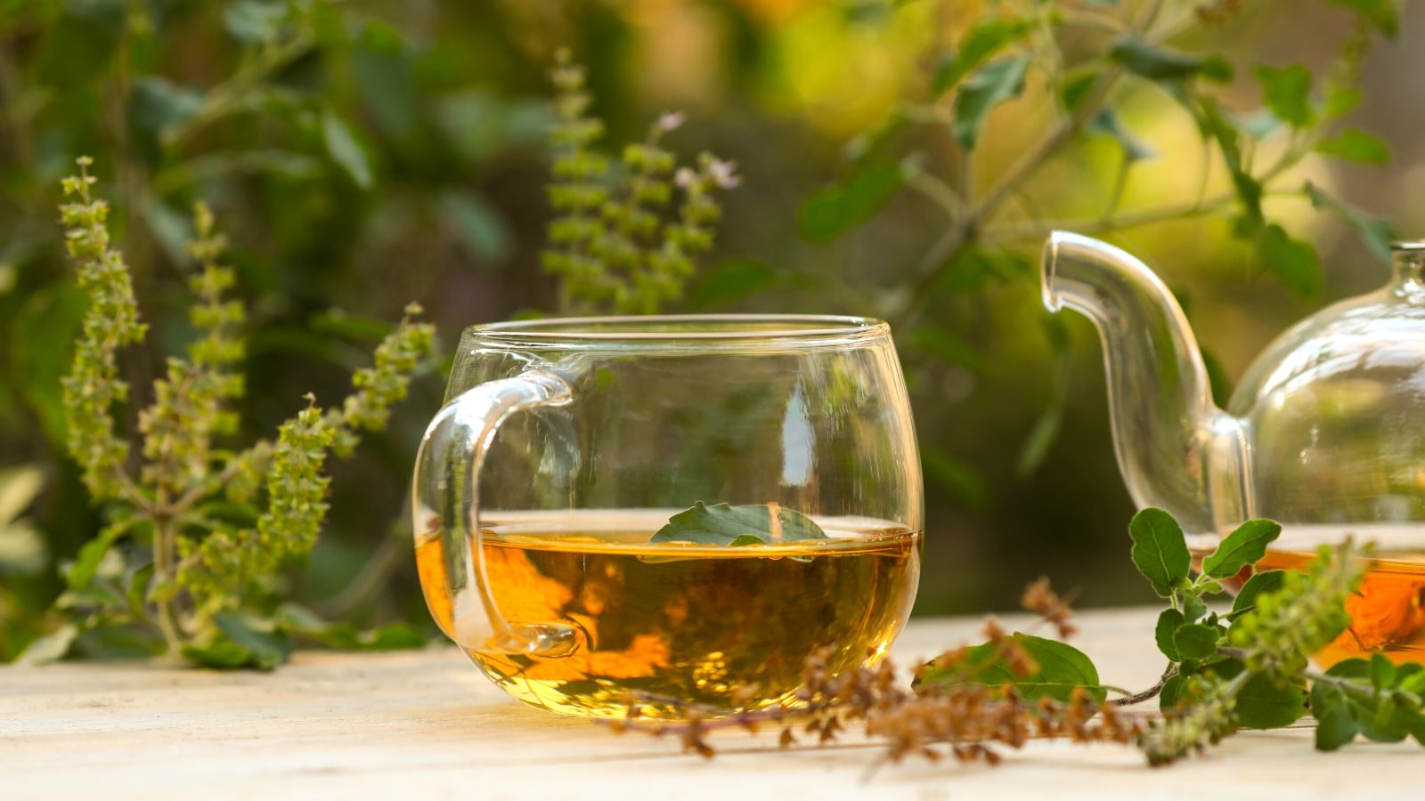 21 Best Plants to Grow in an Herbal Tea Garden