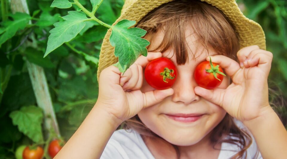 17 Plants Kids Love To Grow From Seed