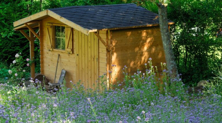 How to Plant, Grow, and Care for Phacelia