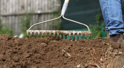How and When to Aerate Your Soil: Improve Compacted Soil
