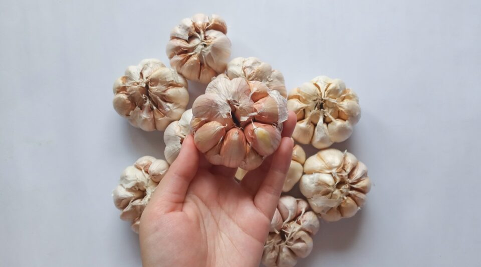 Softneck vs. Hardneck Garlic: What's the Difference?