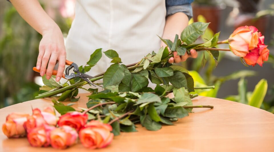 How to Create Beautiful Flower Arrangements: 13 Pro Tips