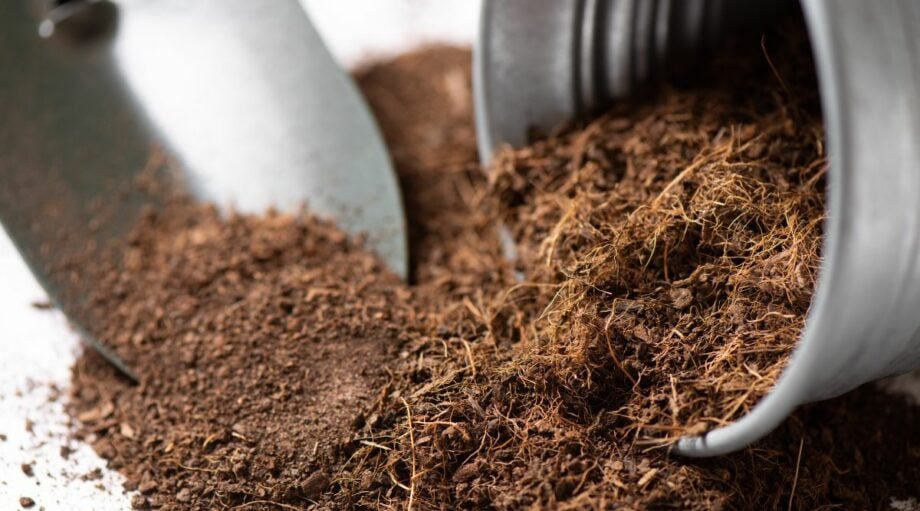 Peat Moss: Using Sphagnum Peat In The Garden - Epic Gardening