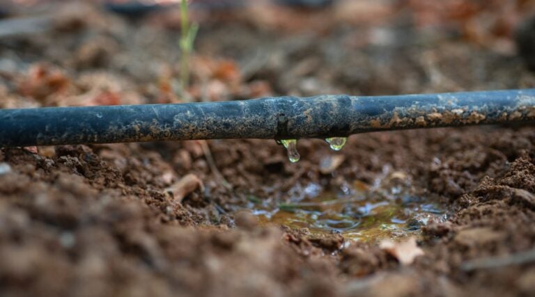 How to Install a DIY Drip Irrigation System in 9 Easy Steps