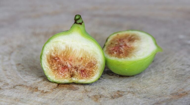 31 Fabulous Fig Varieties for Your Home and Garden