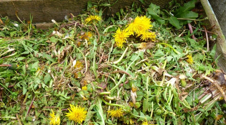 7 Ways to Reuse Weeds in the Garden