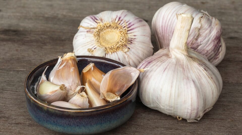 Softneck vs. Hardneck Garlic: What's the Difference?