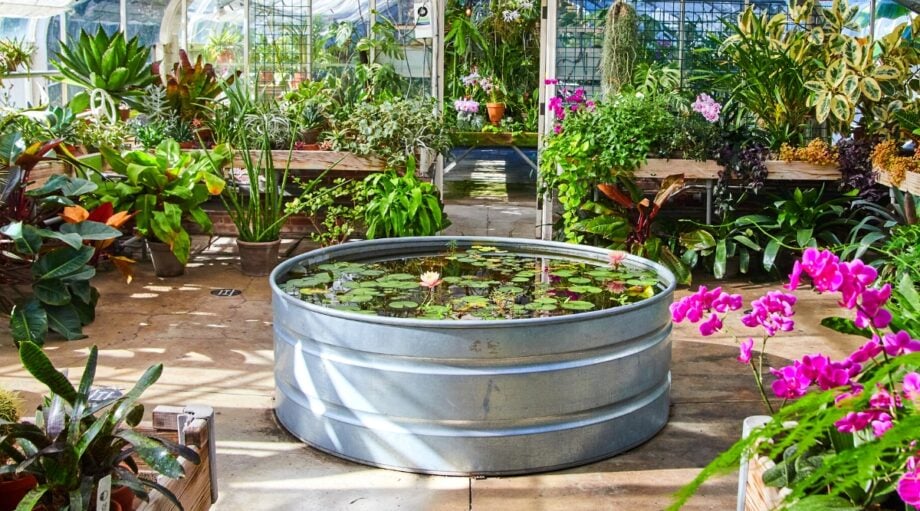 How to Control Humidity in a Greenhouse
