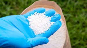 How and When To Fertilize Orchids