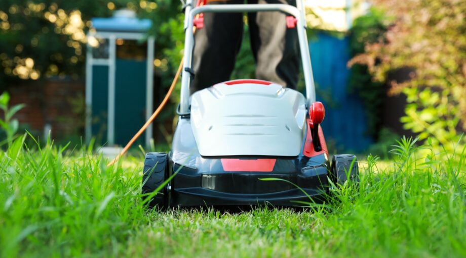 19 Tips for Gardening on a Hill or Slope