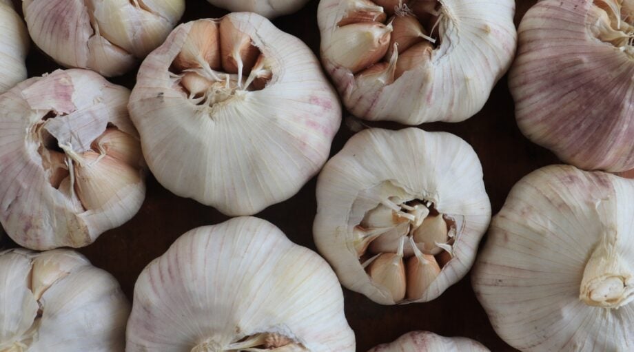 Softneck vs. Hardneck Garlic: What's the Difference?