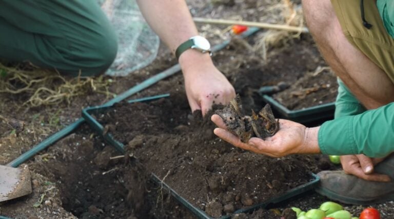 Does Burying Food Scraps Produce Results in the Garden?