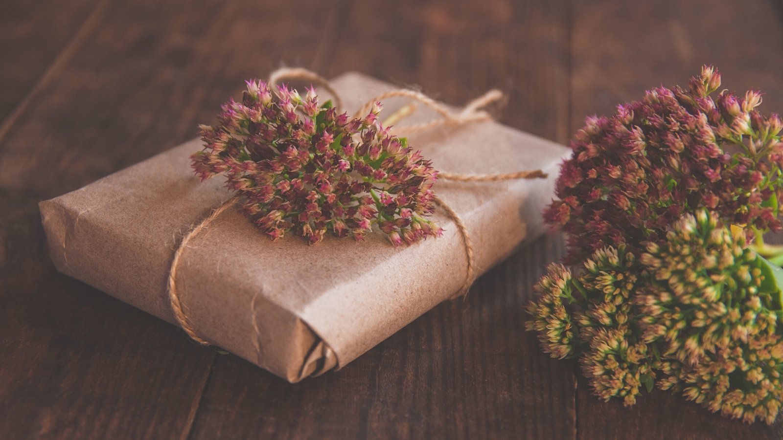 27 Best Gifts for Advanced Gardeners