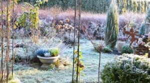 Winter Garden Ideas: 25 Tips for a Stunning Wintertime Garden