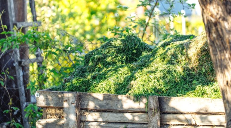 Cover Crop Benefits: How Cover Cropping Works