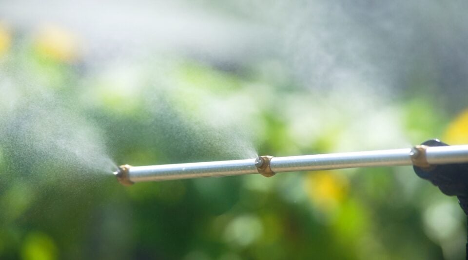 How to Control Humidity in a Greenhouse