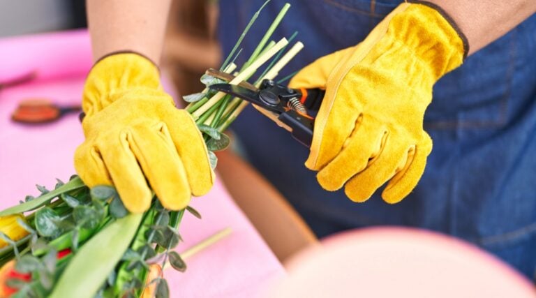 How to Make Cut Flowers Last Longer: 11 Pro Tips