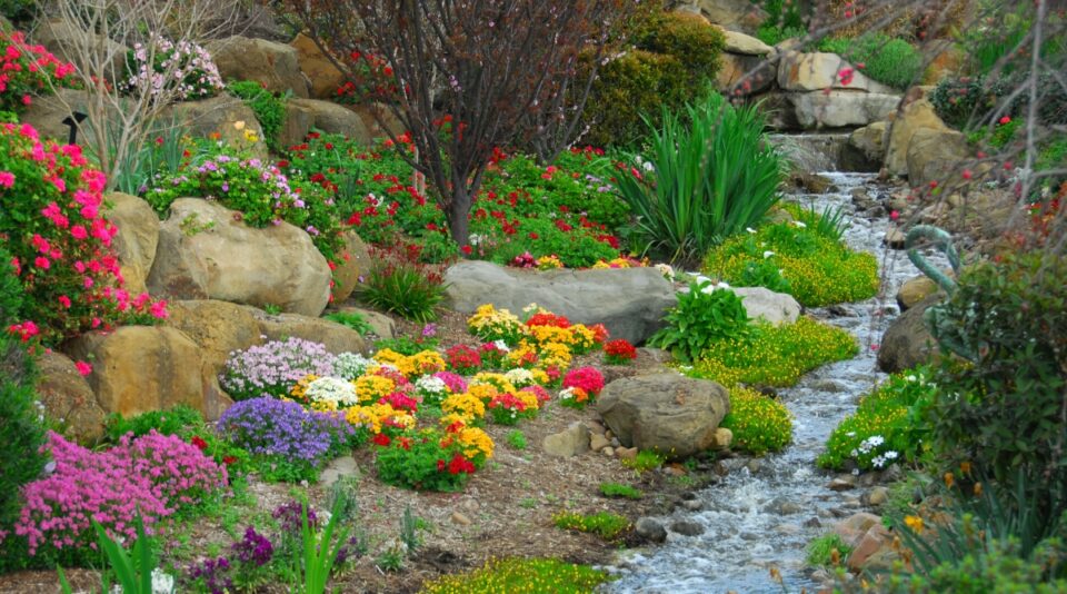 How to Design a Rock Garden: 13 Expert Tips