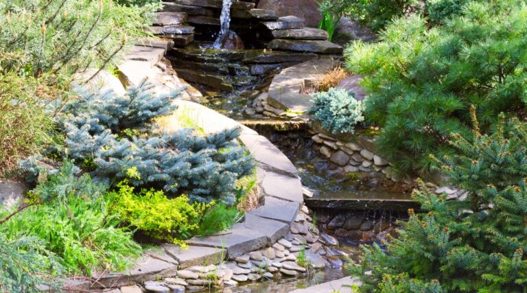 How to Design a Rock Garden: 13 Expert Tips
