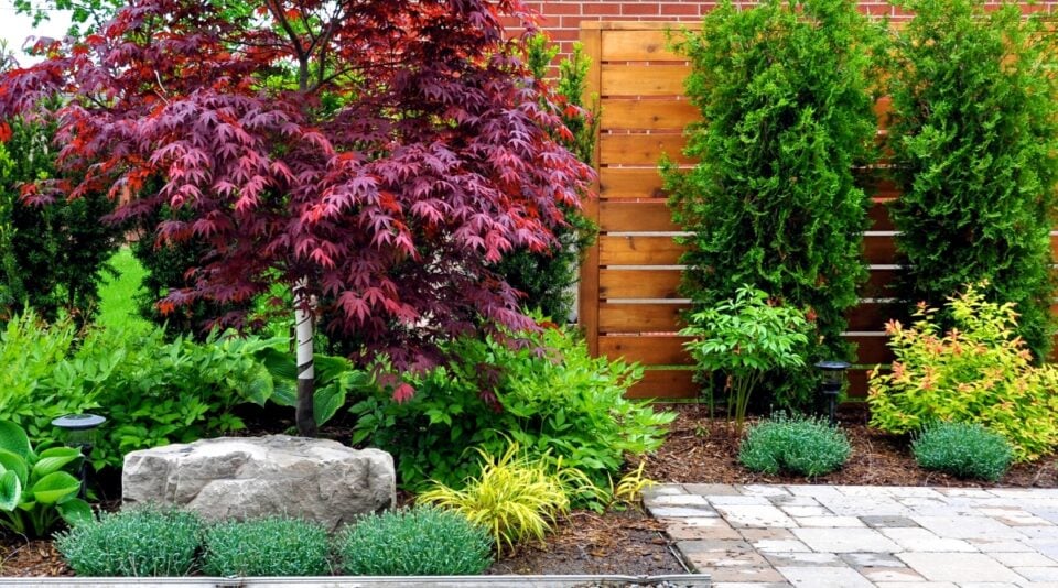 2024 Gardening Trends To Inspire You This Year