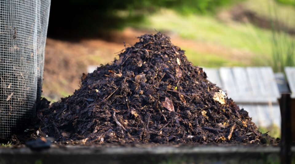 Compost 101: How to Start Composting for Beginners