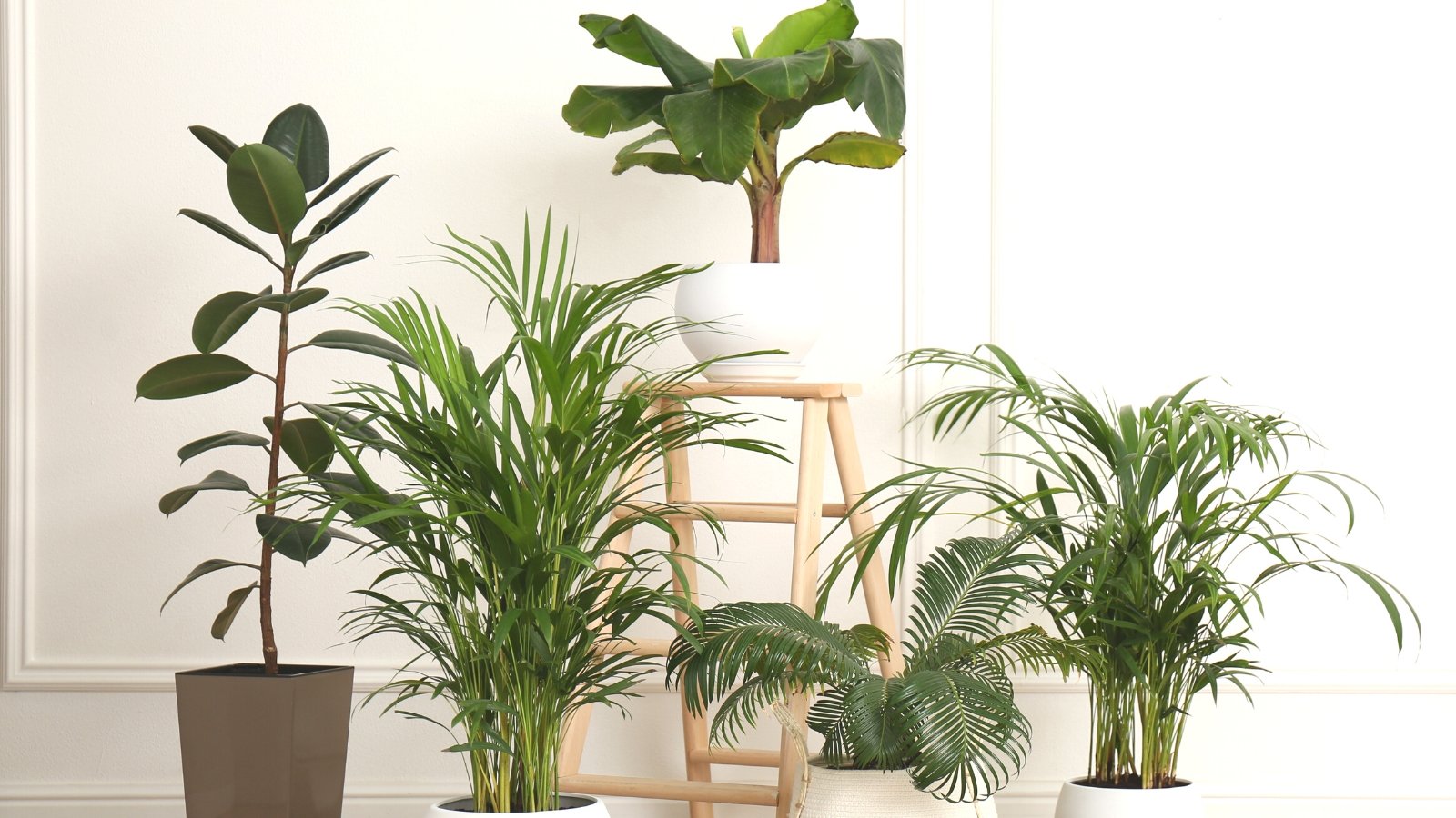Indoor House Plant Containers