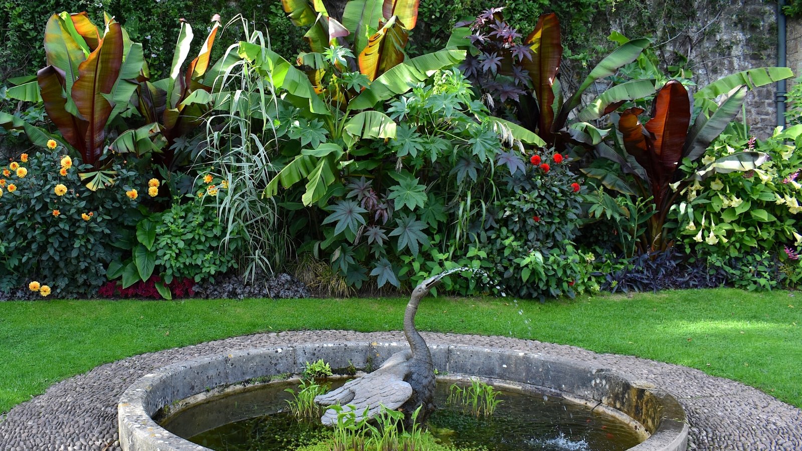 11 Ideas for a Spooky and Beautiful Goth Garden