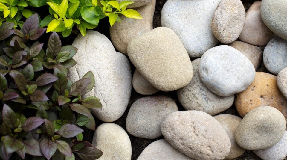 How to Design a Rock Garden: 13 Expert Tips