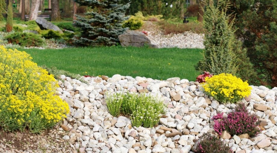 How to Design a Rock Garden: 13 Expert Tips