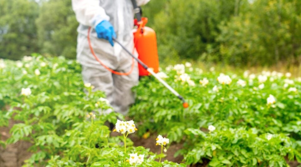 How Do I Know If My Compost or Mulch Is Contaminated With Herbicides?