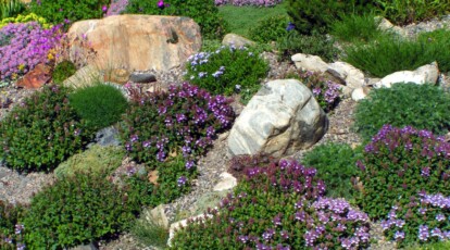 How to Design a Rock Garden: 13 Expert Tips