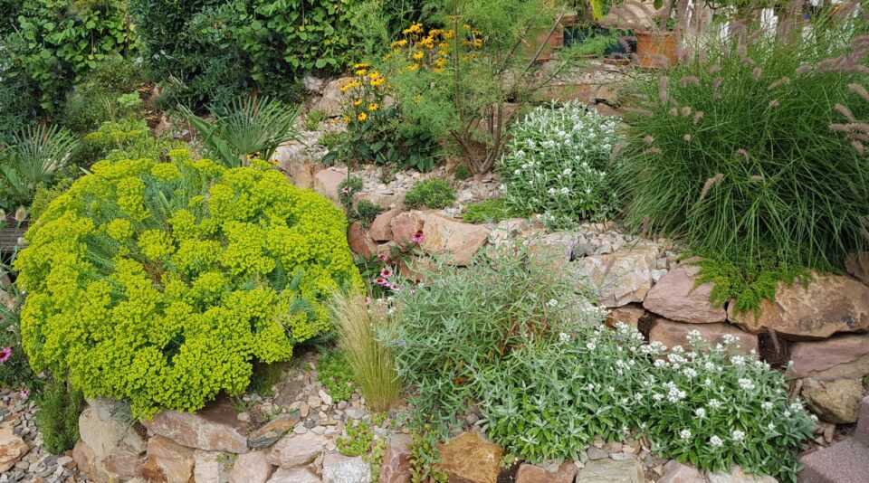 How to Design a Rock Garden: 13 Expert Tips