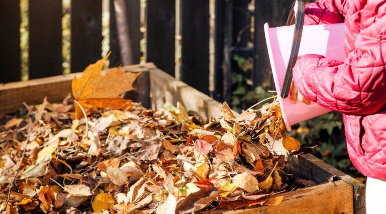 Can You Use Fall Leaves to Fill Raised Beds?