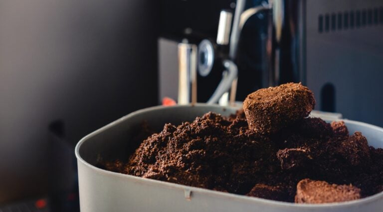 Compost 101: How to Start Composting for Beginners