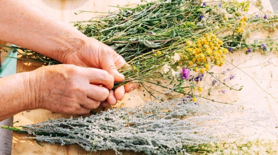 How to Grow an Herbal Tea Garden