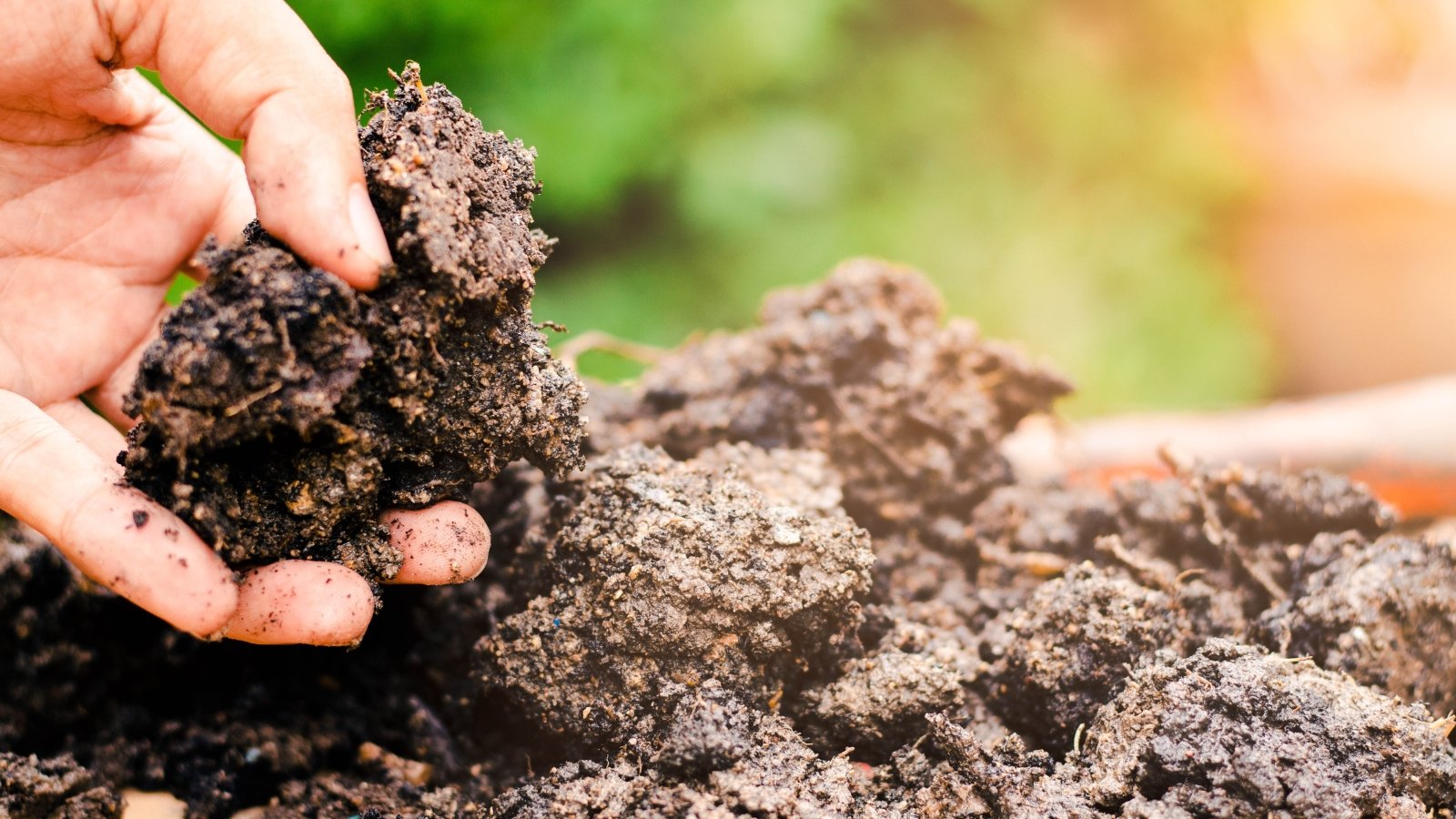 How Do I Know If My Compost or Mulch Is Contaminated With Herbicides?