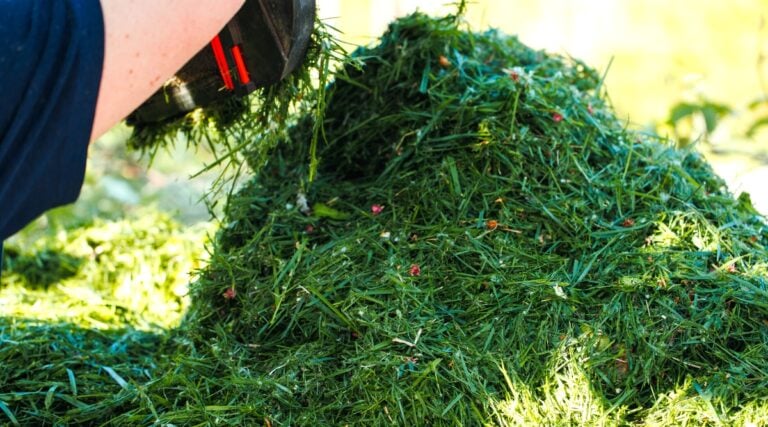 Compost 101: How to Start Composting for Beginners