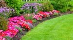 How To Create A Perennial Border That Works: 11 Recommendations