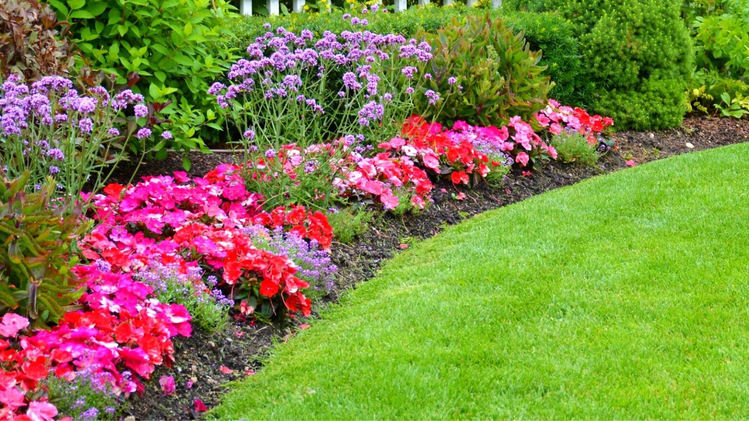 How To Create A Perennial Border That Works: 11 Recommendations