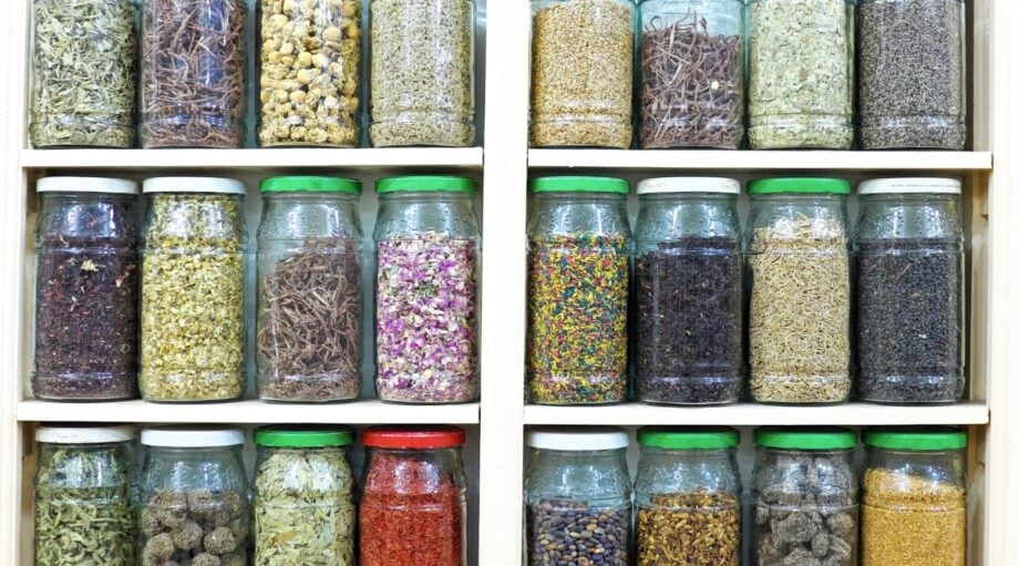 How to Harvest and Dry Fresh Herbs from the Garden