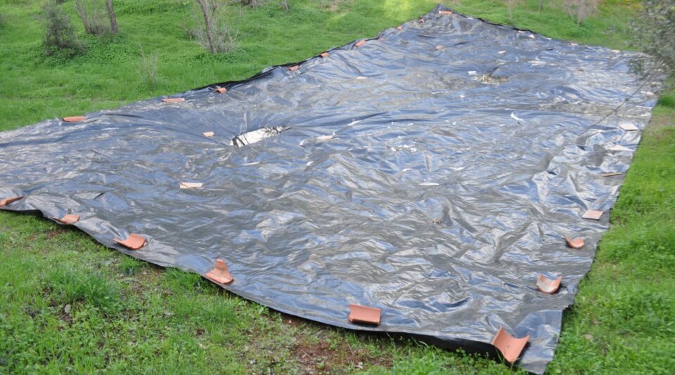Occultation: 8 Ways to Use Tarp in the Garden
