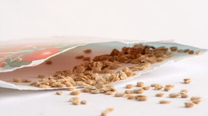 How to Read a Seed Packet