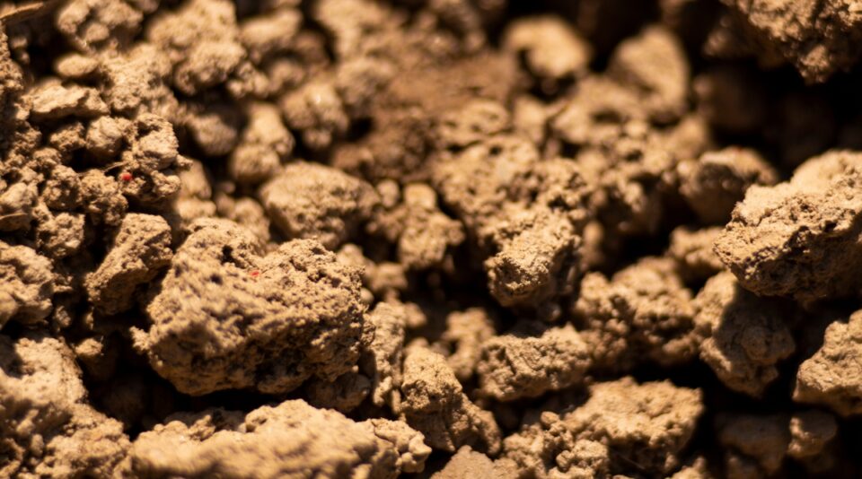 How to Identify Your Soil Type: Sand, Clay, Loam, and Silt Soils