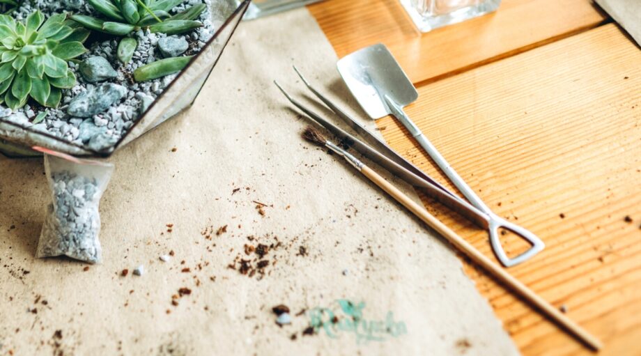 How to Make a Terrarium: A Step-by-Step Guide