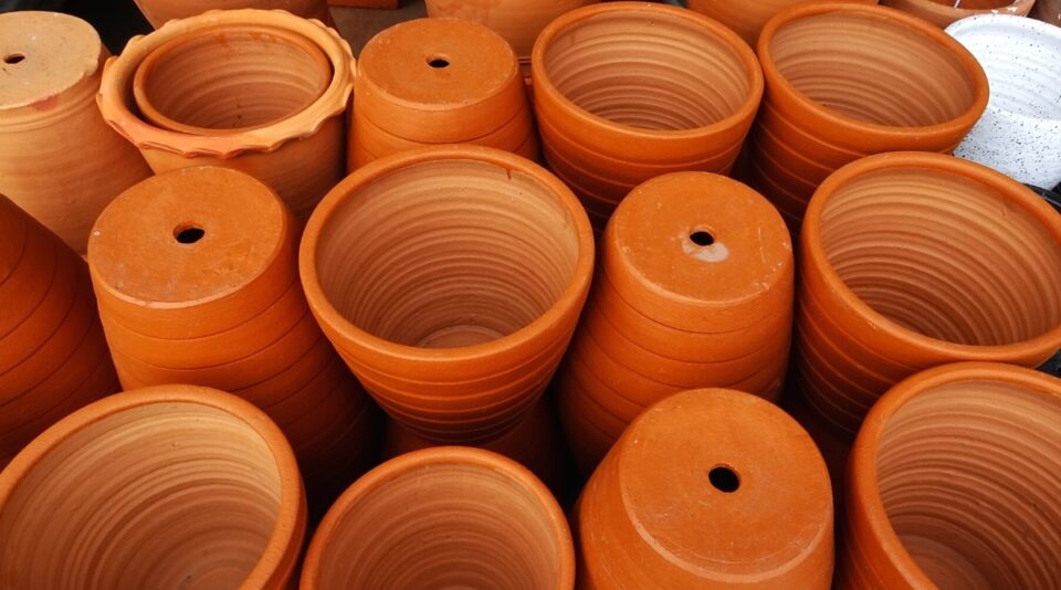 29 Beginner Tips for Growing Plants in Pots and Containers
