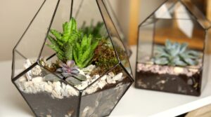 How to Make a Terrarium: A Step-by-Step Guide