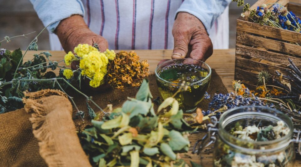 How to Create Simple Herbal Tea Blends From the Garden