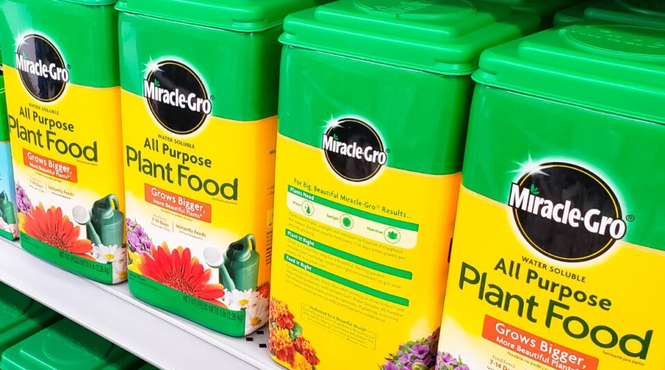 Is Miracle-Gro Organic?