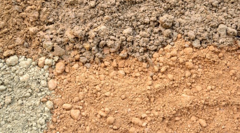 How to Identify Your Soil Type: Sand, Clay, Loam, and Silt Soils