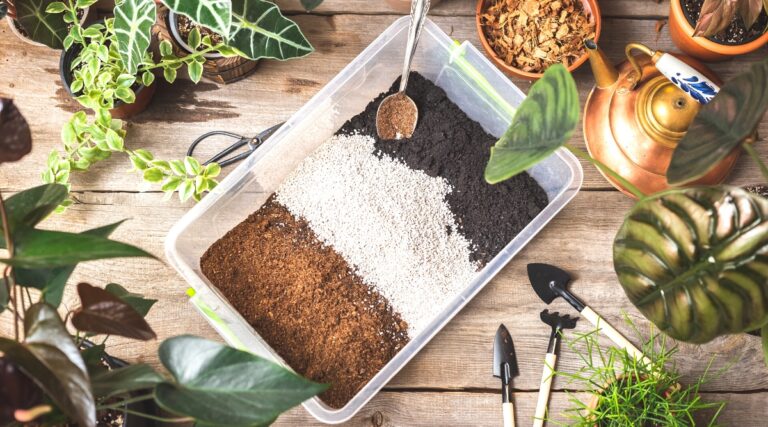 29 Beginner Tips for Growing Plants in Pots and Containers